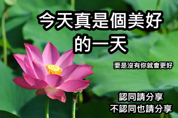 長輩圖 - 素材資源庫