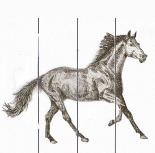 Memes Caballo Dibujo