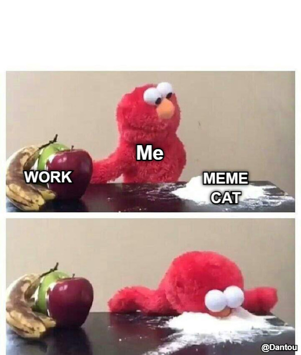 WORK MEME CAT Me
