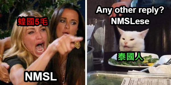 NMSL 蝗國5毛 Any other reply? NMSLese 泰國人