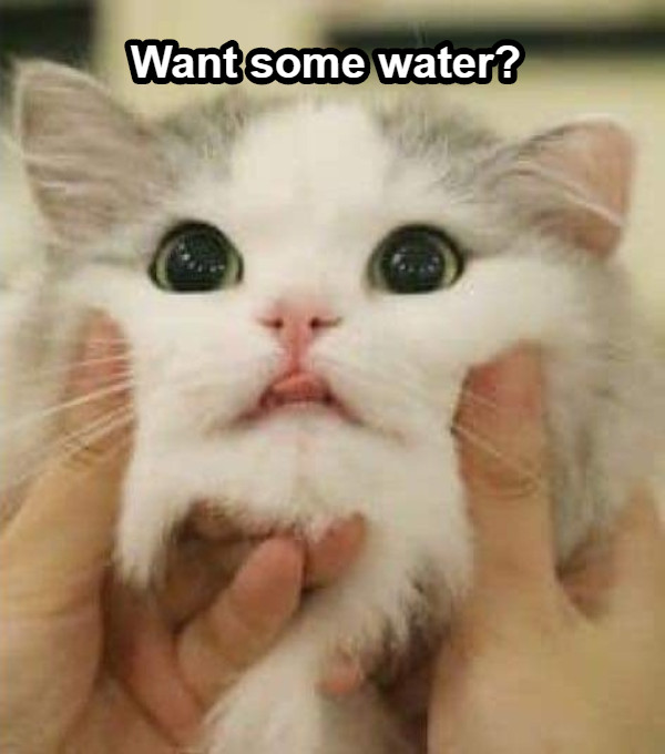 Want some water?