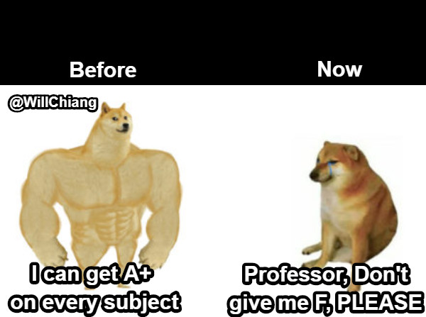 20張超好笑【cheems】梗圖！快來看看網友們的搞笑創作！