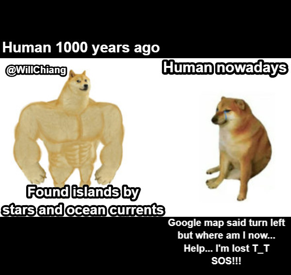 20張超好笑【cheems】梗圖！快來看看網友們的搞笑創作！