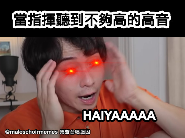 當指揮聽到不夠高的高音 HAIYAAAAA @maleschoirmemes 男聲合唱迷因