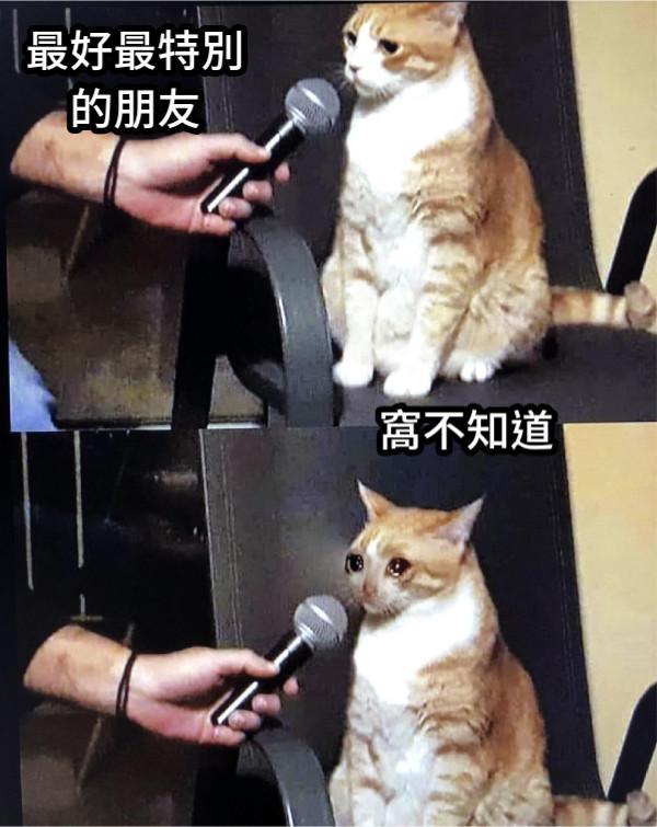 最好最特別的朋友 窩不知道
