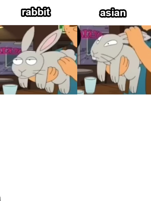 rabbit asian