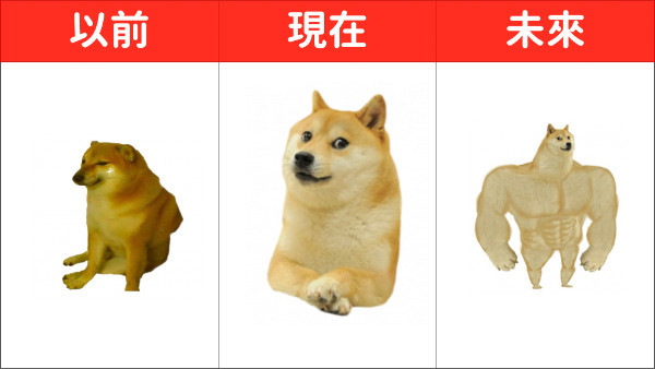 20張超好笑【weak doge】梗圖！快來看看網友們的搞笑創作！