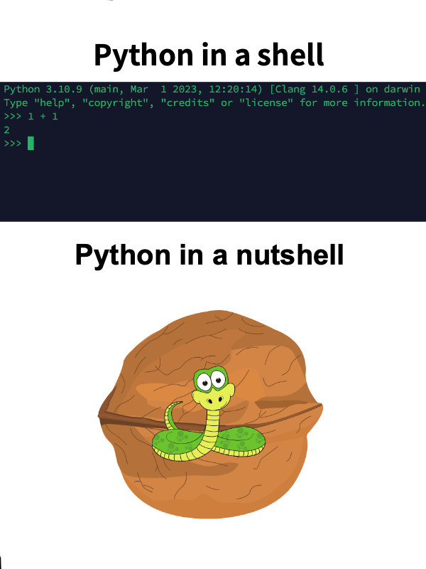 Python in a nutshell