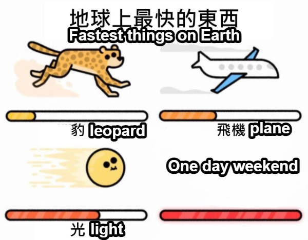 Fastest things on Earth leopard plane light One day weekend