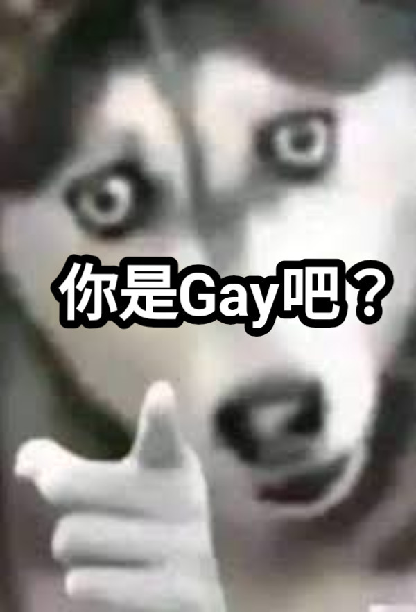 你是gay吧?